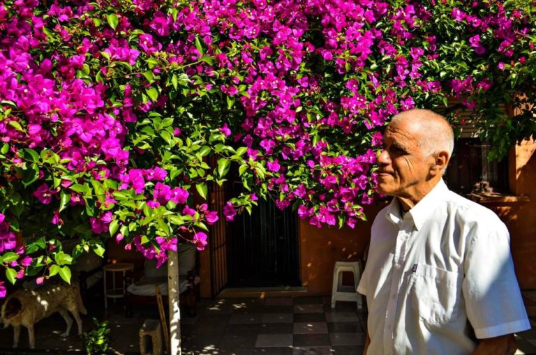 HOJA DE VIDA Y PROPUESTA ESTÉTICA DEL POETA URUGUAYO CLEMENTE PADÍN ...